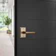 Builder Series Stepped Olympus Door Lever Set